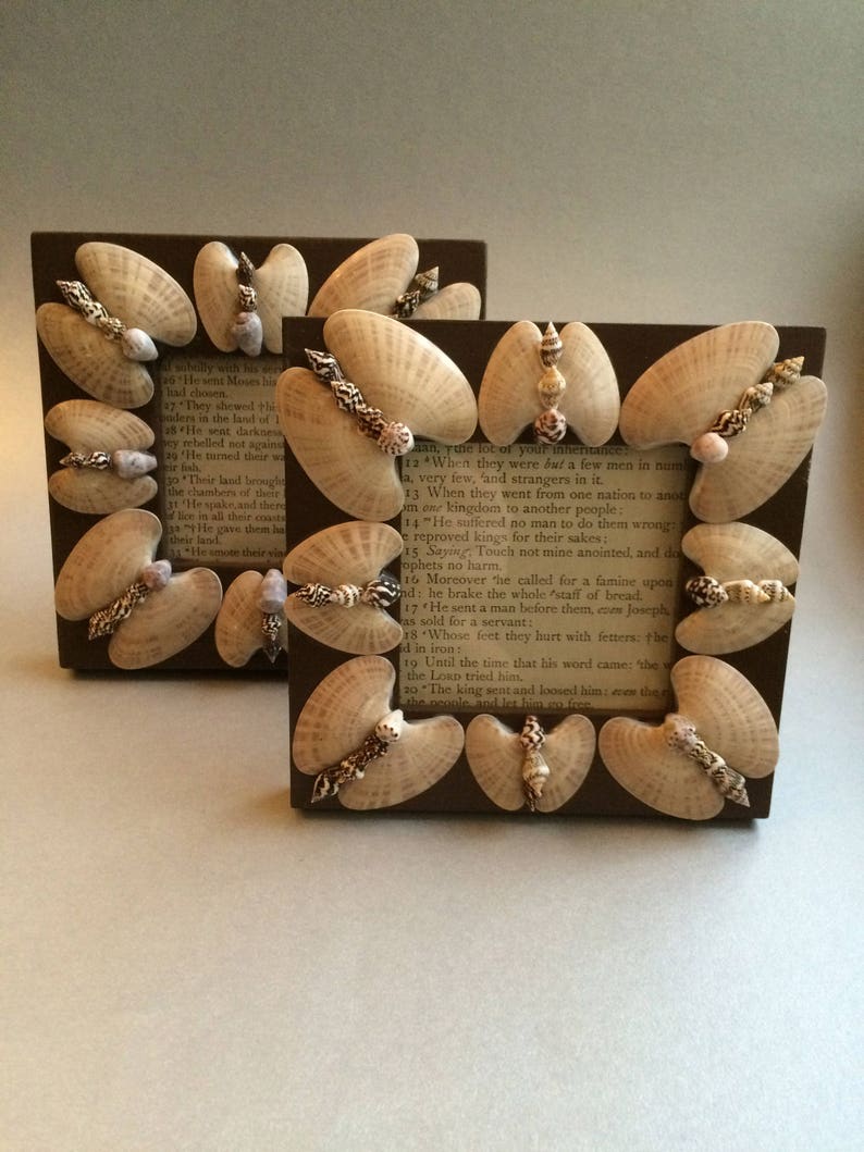 Handmade Seashell Picture Frame Shell Photo Frame Seashells - Etsy
