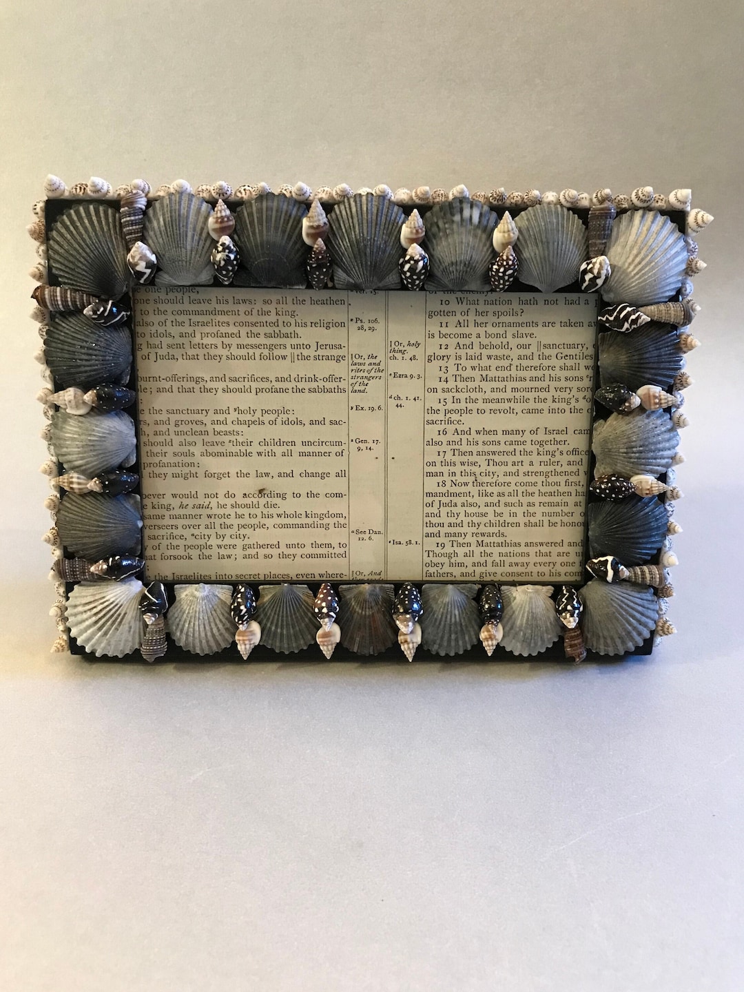 Handmade Shell Frame, Sea Shell Picture Frame, Decorated Seashell Frame ...