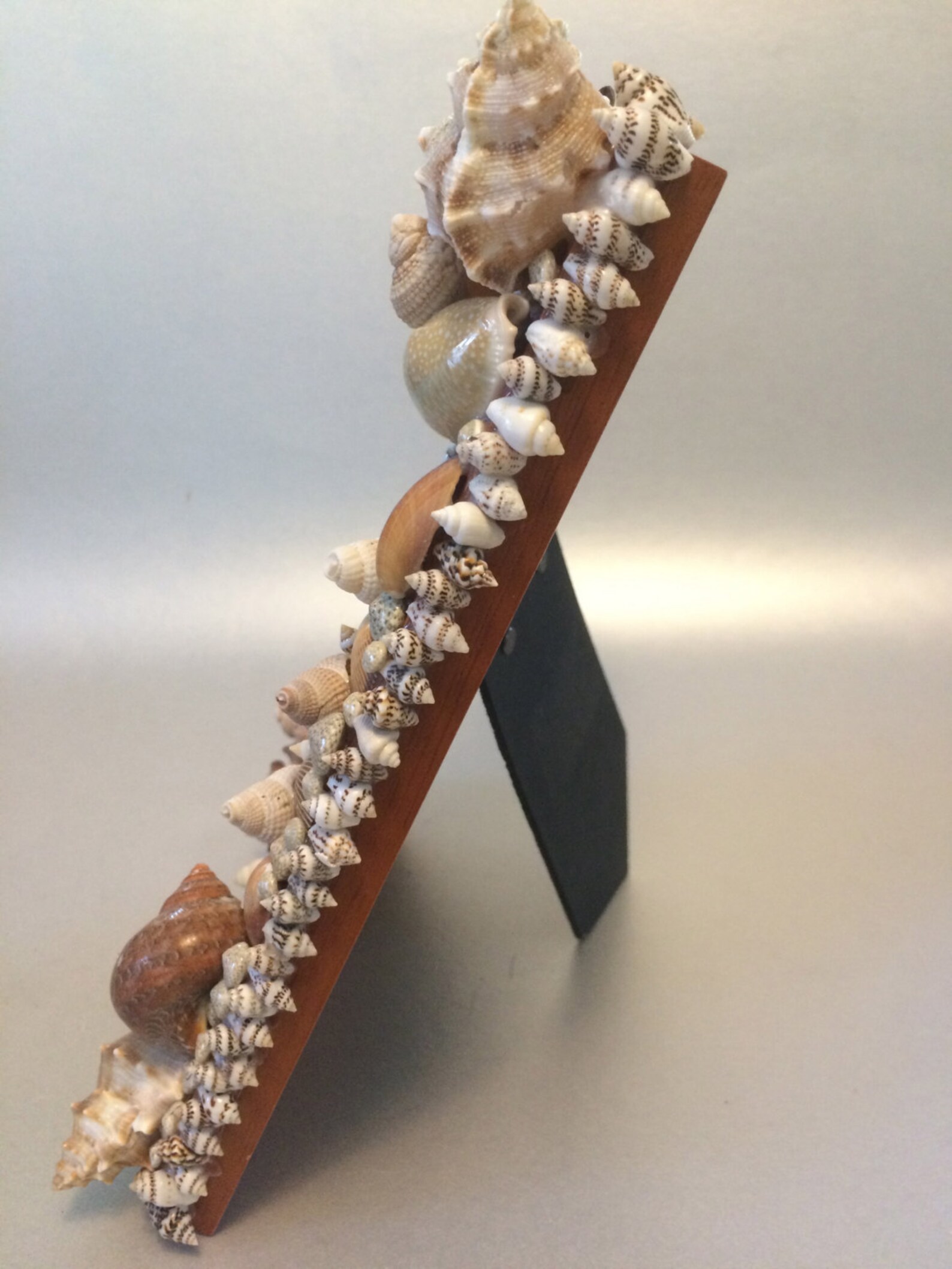 Handmade Seashell Picture Frame Shell Frame Beach Decor - Etsy