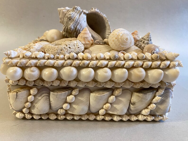One of a Kind Shell Box, Ornate Seashell Box, Handmade Shell Treasure ...