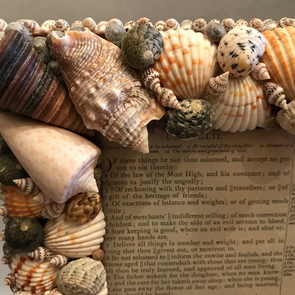 Shell Frame - Etsy