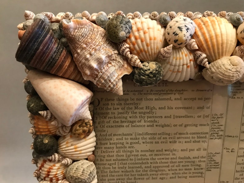 Handmade Shell Frame One of a Kind Seashell Frame Sea Shell | Etsy