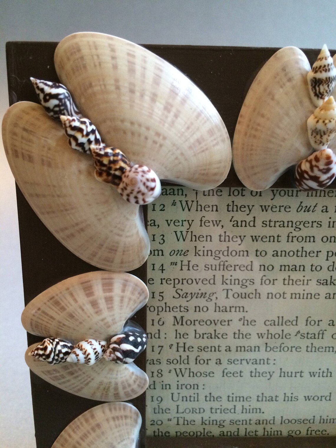 Handmade Seashell Picture Frame Shell Photo Frame Seashells - Etsy