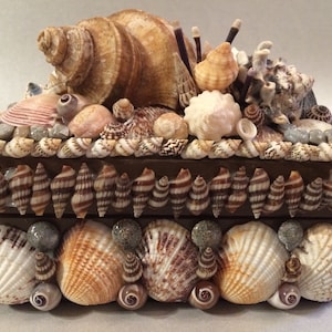 Handmade Shell Box Encrusted Seashell Box Hand Picked Shells Beach ...