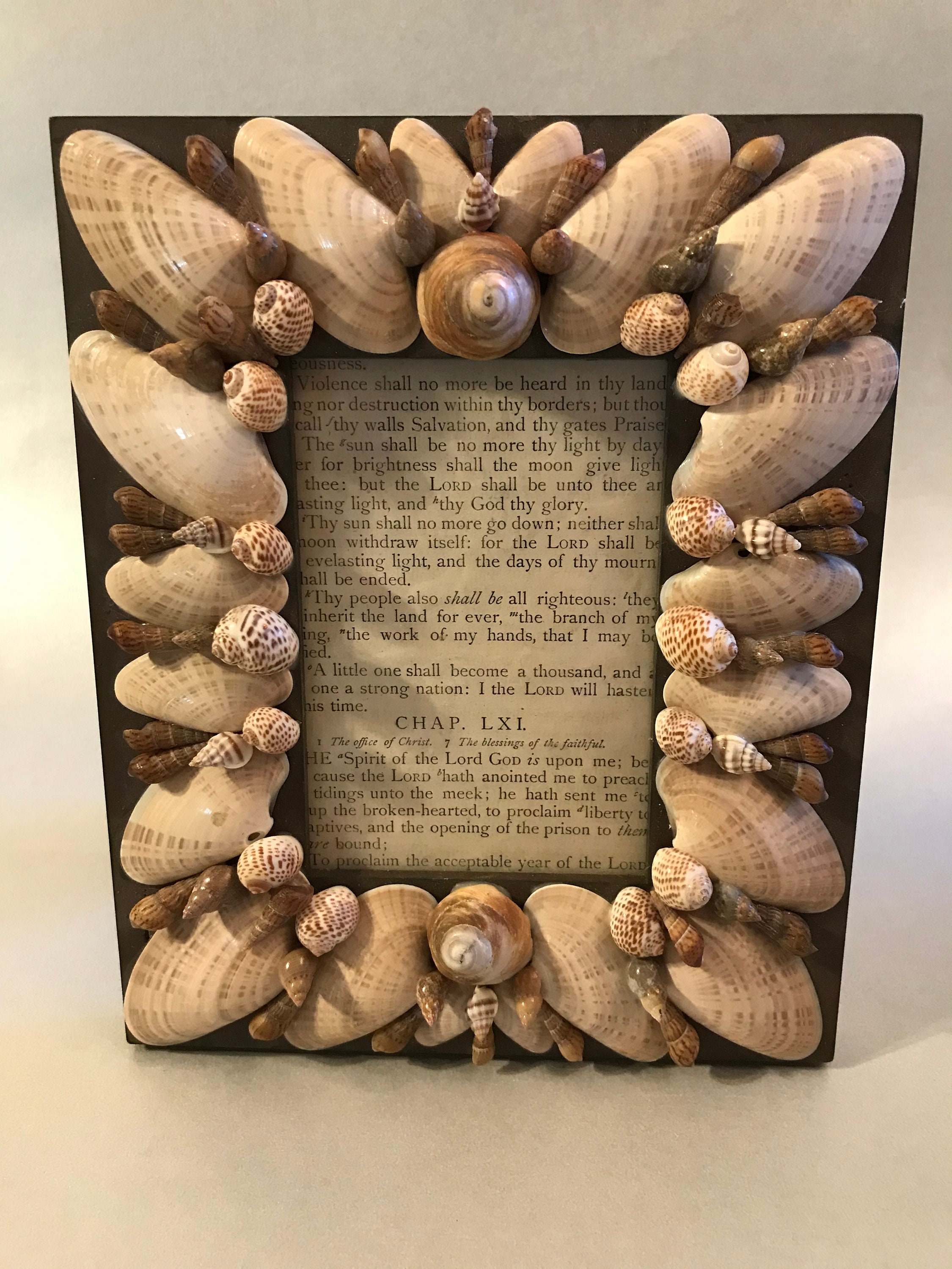 Shell Frame Handmade Seashell Picture Frame One of a Kind - Etsy UK