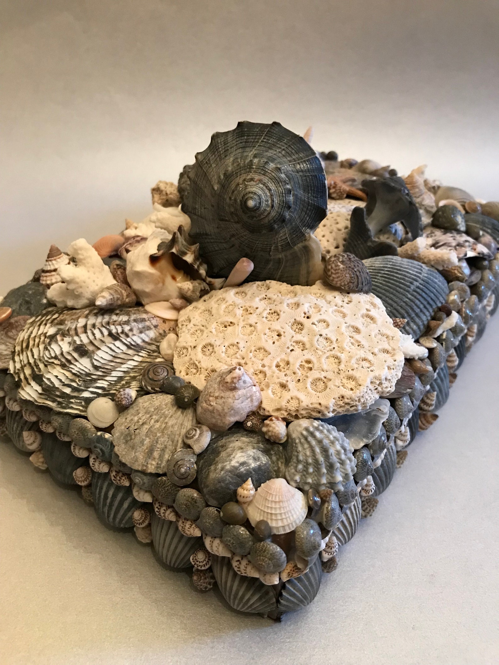 Handmade Shell Box, One of a Kind Seashell Box, Ornate Sea Shell Box - Etsy