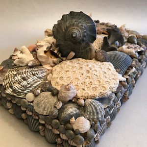 Handmade Shell Box, One of a Kind Seashell Box, Ornate Sea Shell Box - Etsy