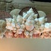 Large Shell Mirror, Handmade Seashell Mirrors, Custom Order Shell ...