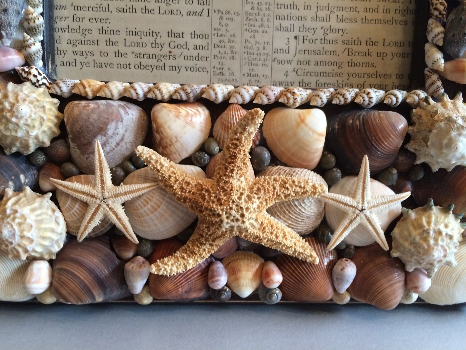 Handmade Seashell Picture Frame, Shell Photo Frame - Etsy