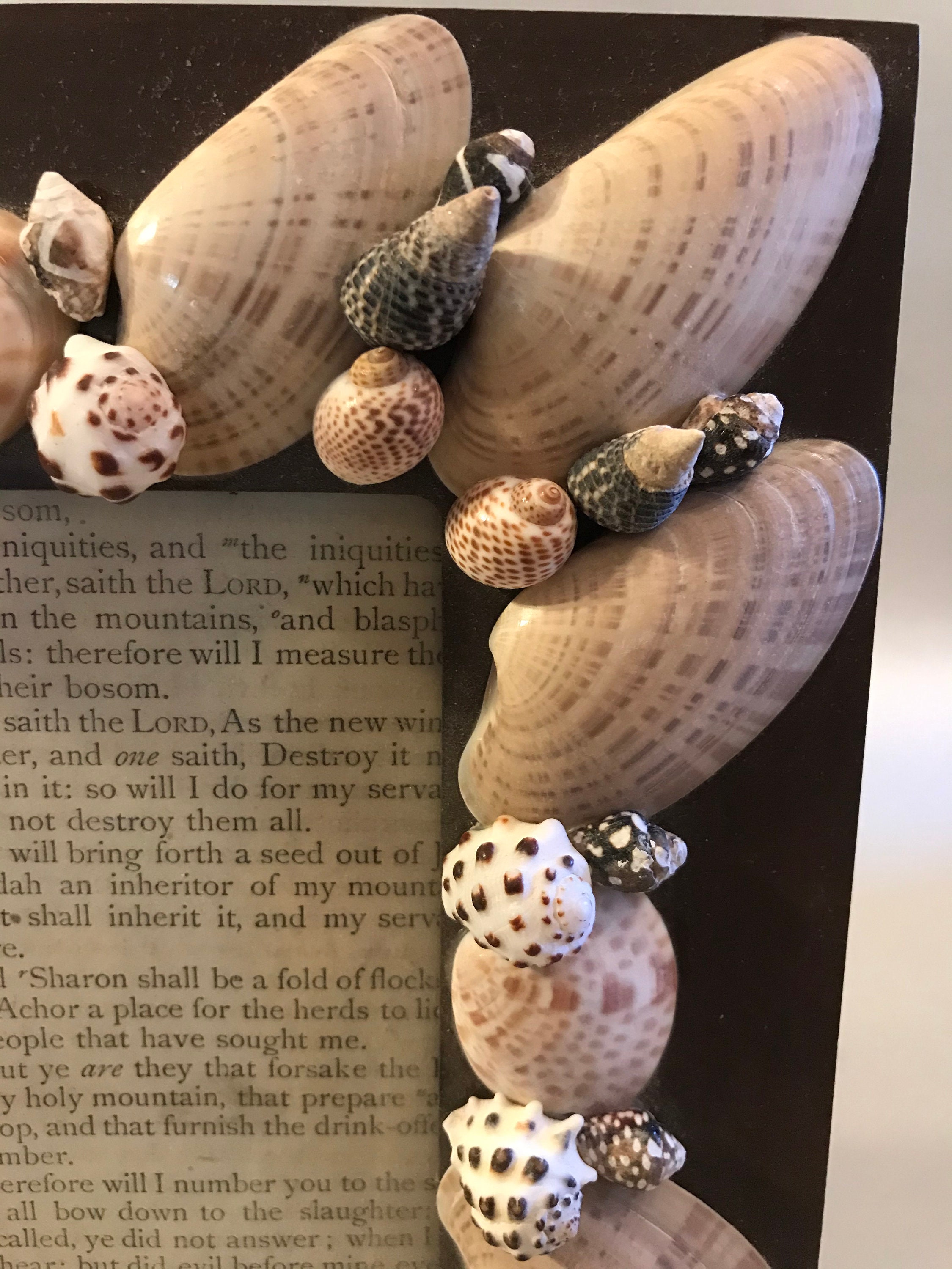 Handmade Shell Frame One of a Kind Seashell Frame Unique Art - Etsy