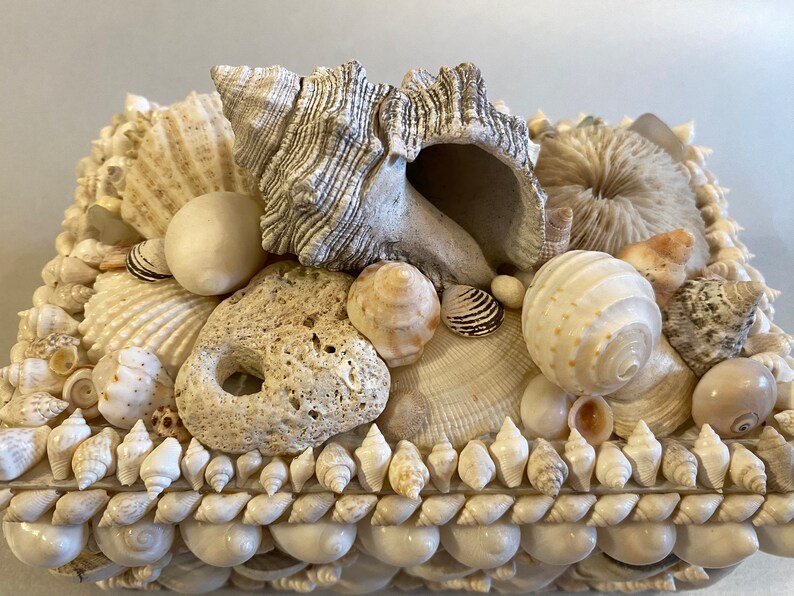One of a Kind Shell Box, Ornate Seashell Box, Handmade Shell Treasure ...