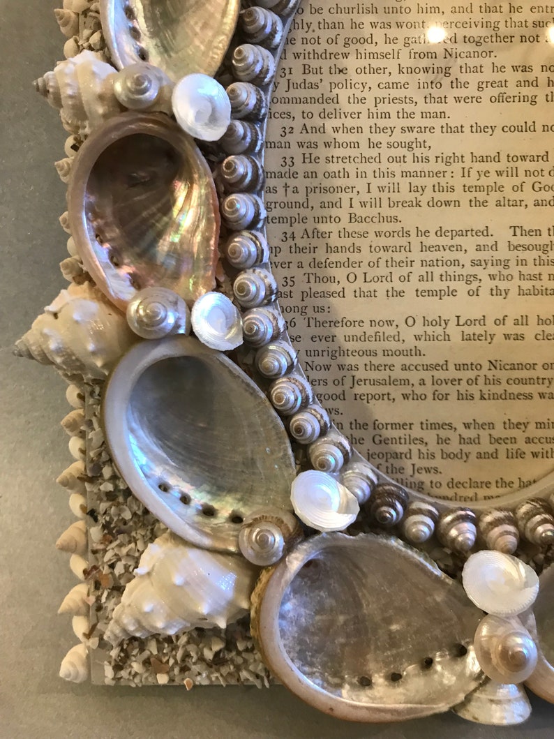 Handmade Shell Frame One of a Kind Seashell Picture Frame - Etsy