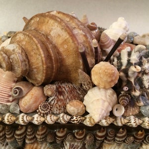 Handmade Shell Box Encrusted Seashell Box Hand Picked Shells Beach ...