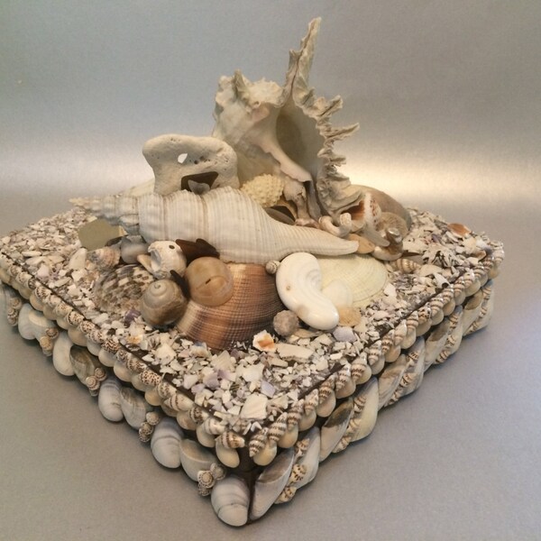 Seashell Box - Etsy
