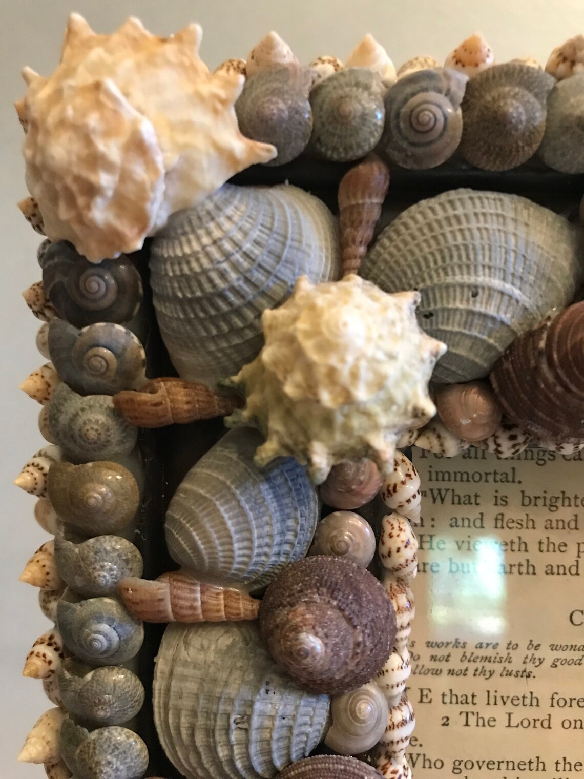 Handmade Shell Frame One of a Kind Seashell Frame - Etsy