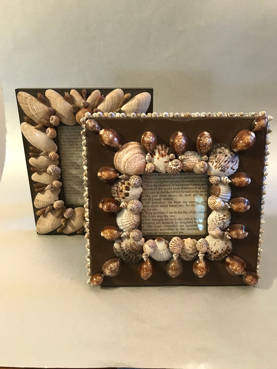 Shell Frame Handmade Seashell Picture Frame One of a Kind - Etsy UK