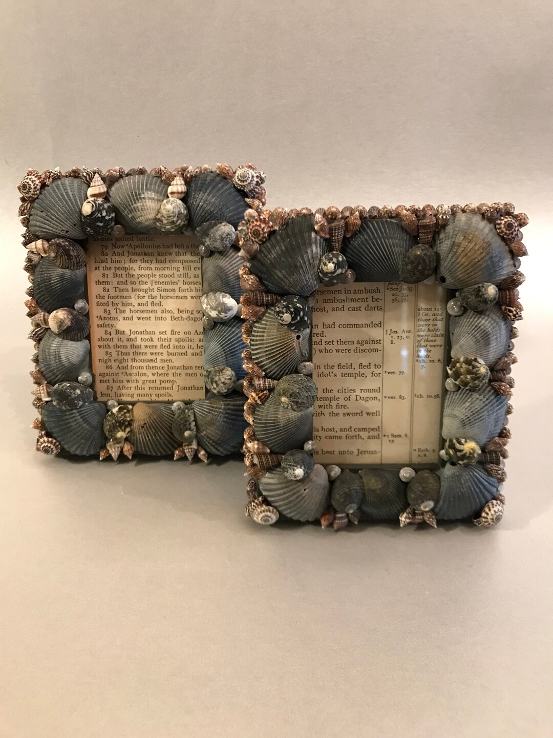 Handmade Shell Frame, Seashell Picture Frame, Sea Shell Photo Frame - Etsy