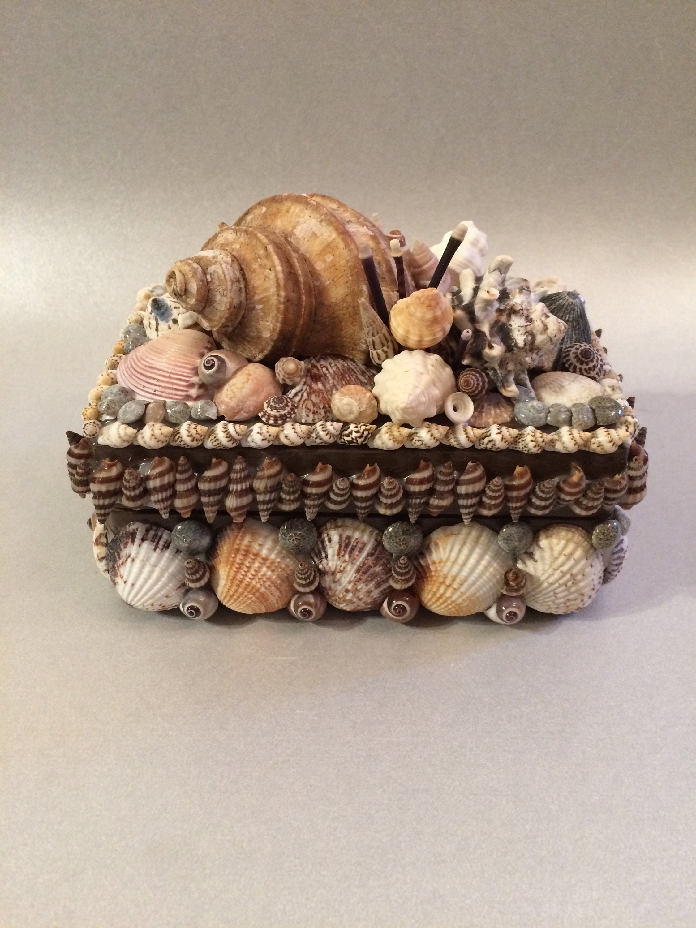 Handmade Shell Box Encrusted Seashell Box Hand Picked Shells - Etsy