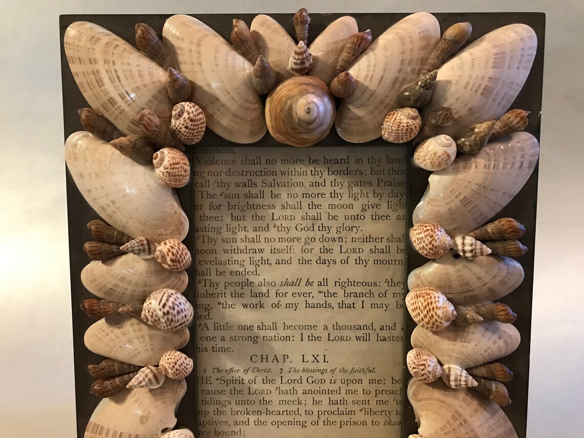 Shell Frame Handmade Seashell Picture Frame One of a Kind | Etsy