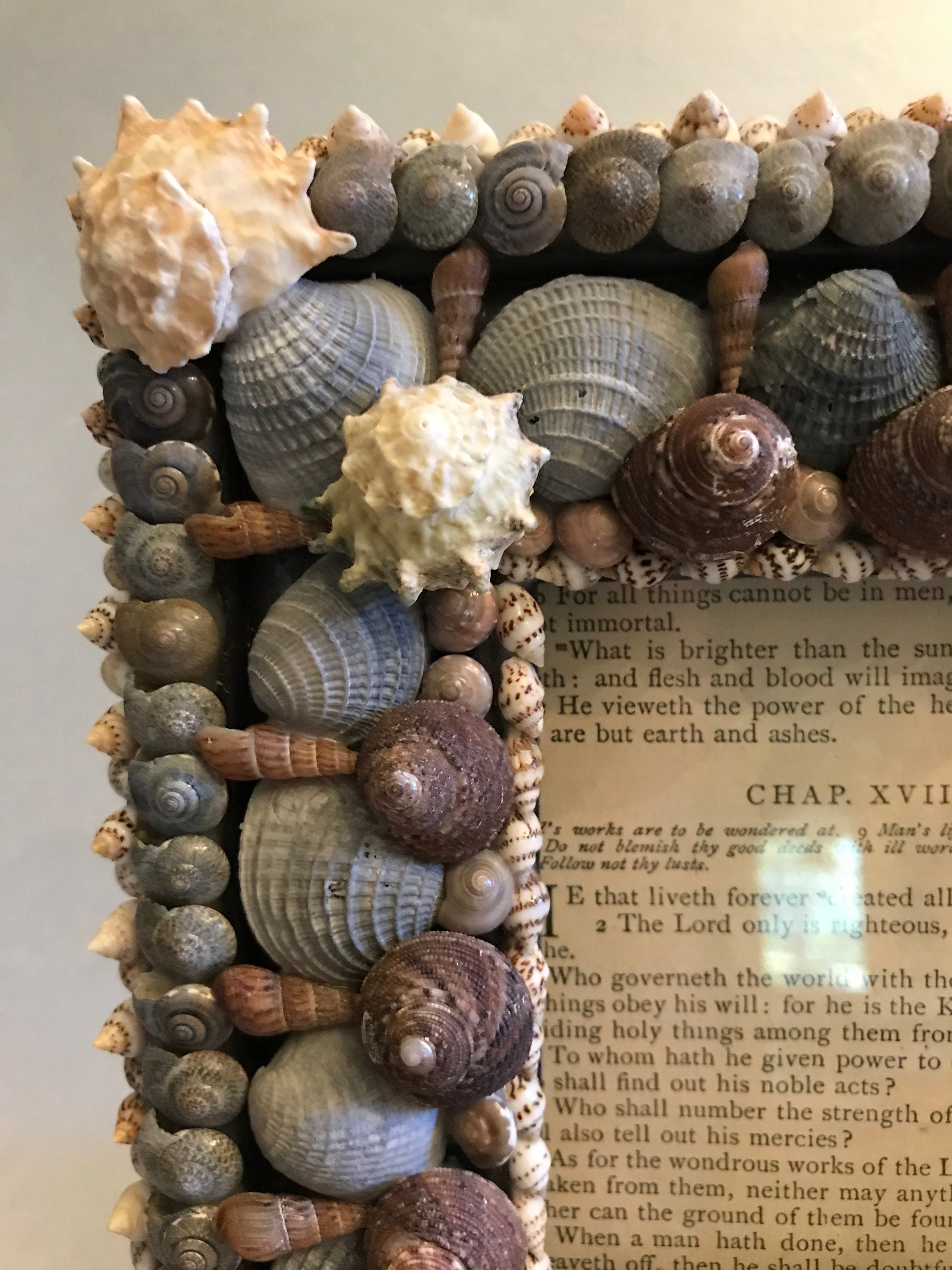 Handmade Shell Frame One of a Kind Seashell Frame - Etsy
