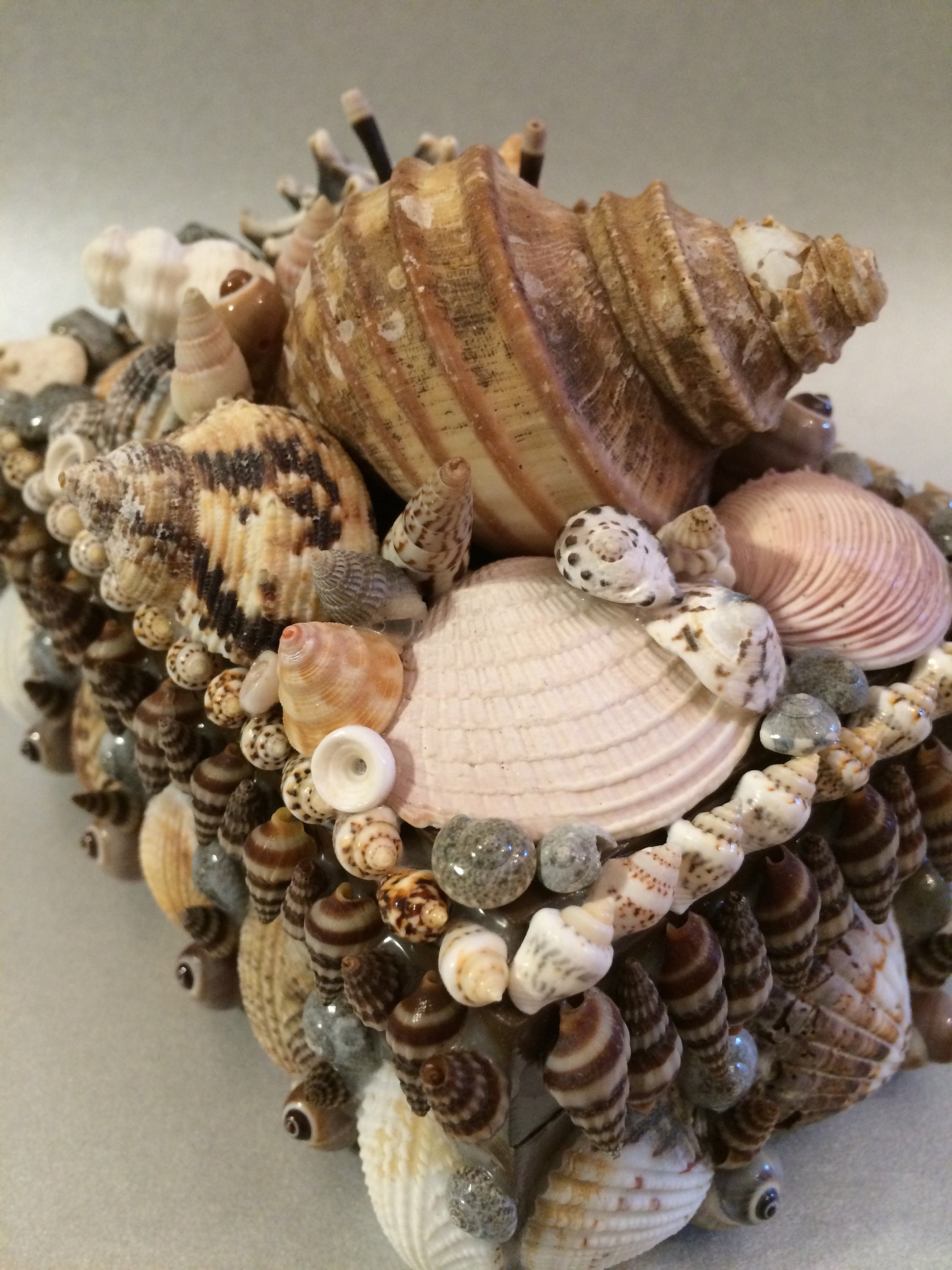 Handmade Shell Box Encrusted Seashell Box Hand Picked Shells - Etsy