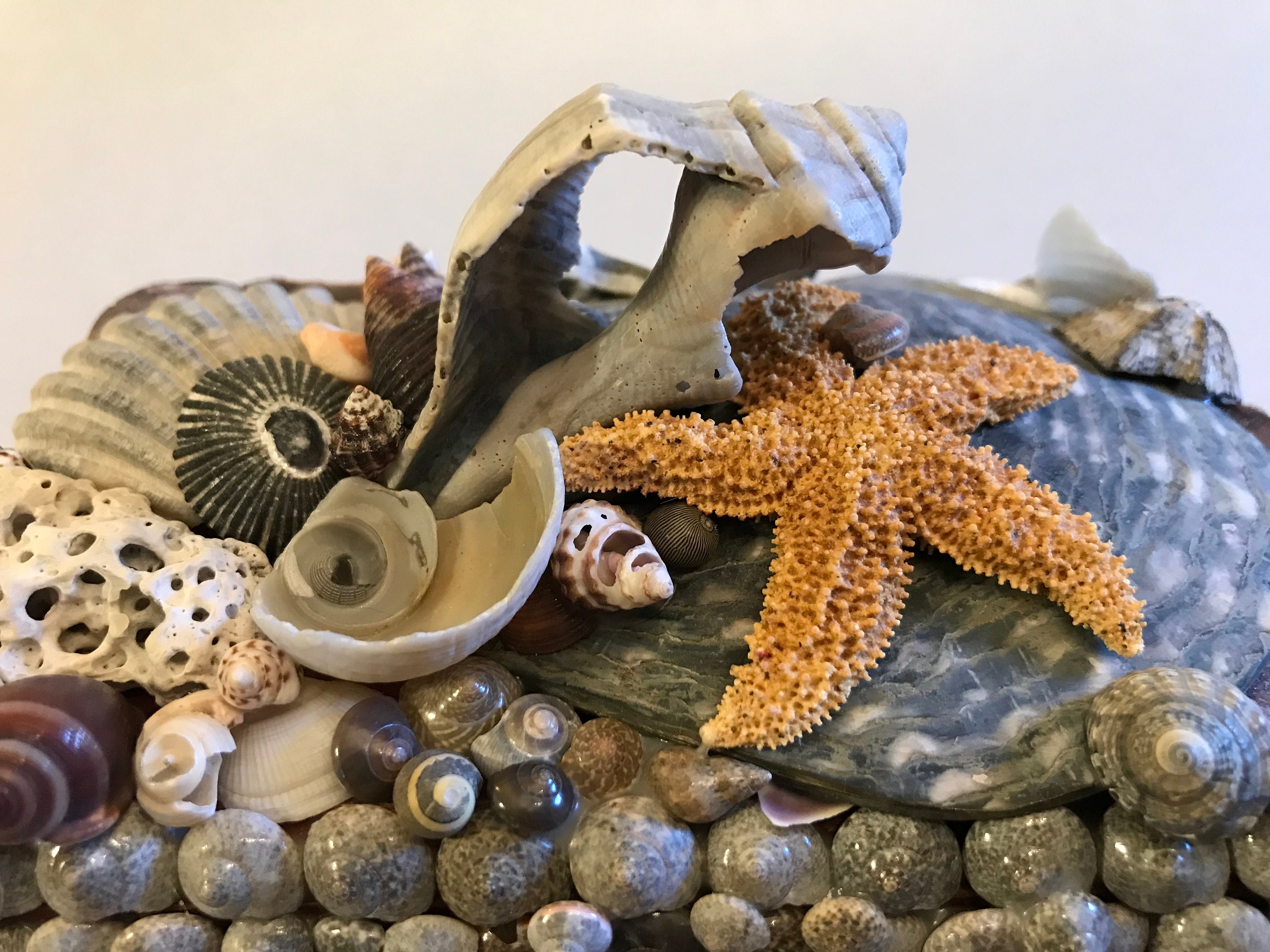 Handmade Shell Box Encrusted Seashell Box Ring Box - Etsy