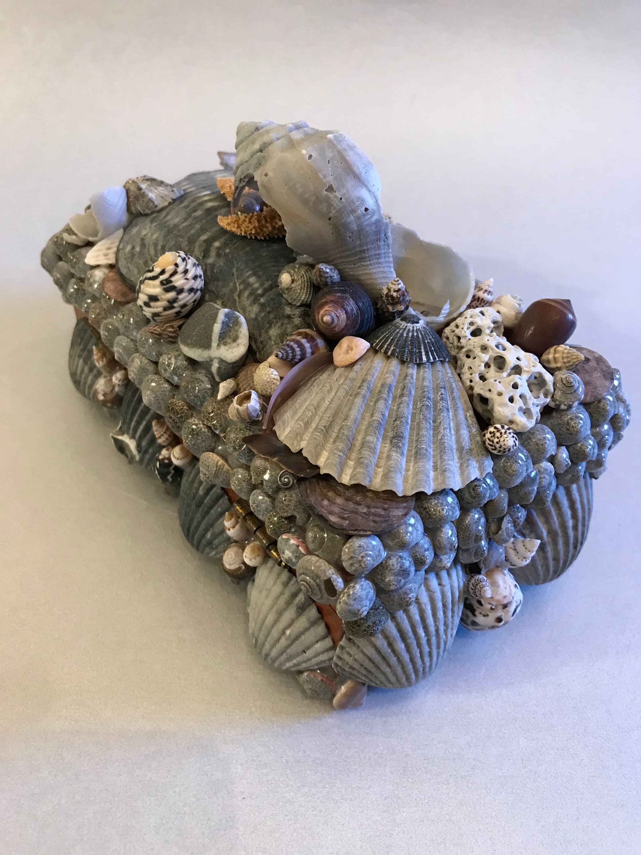 Handmade Shell Box Encrusted Seashell Box Ring Box - Etsy