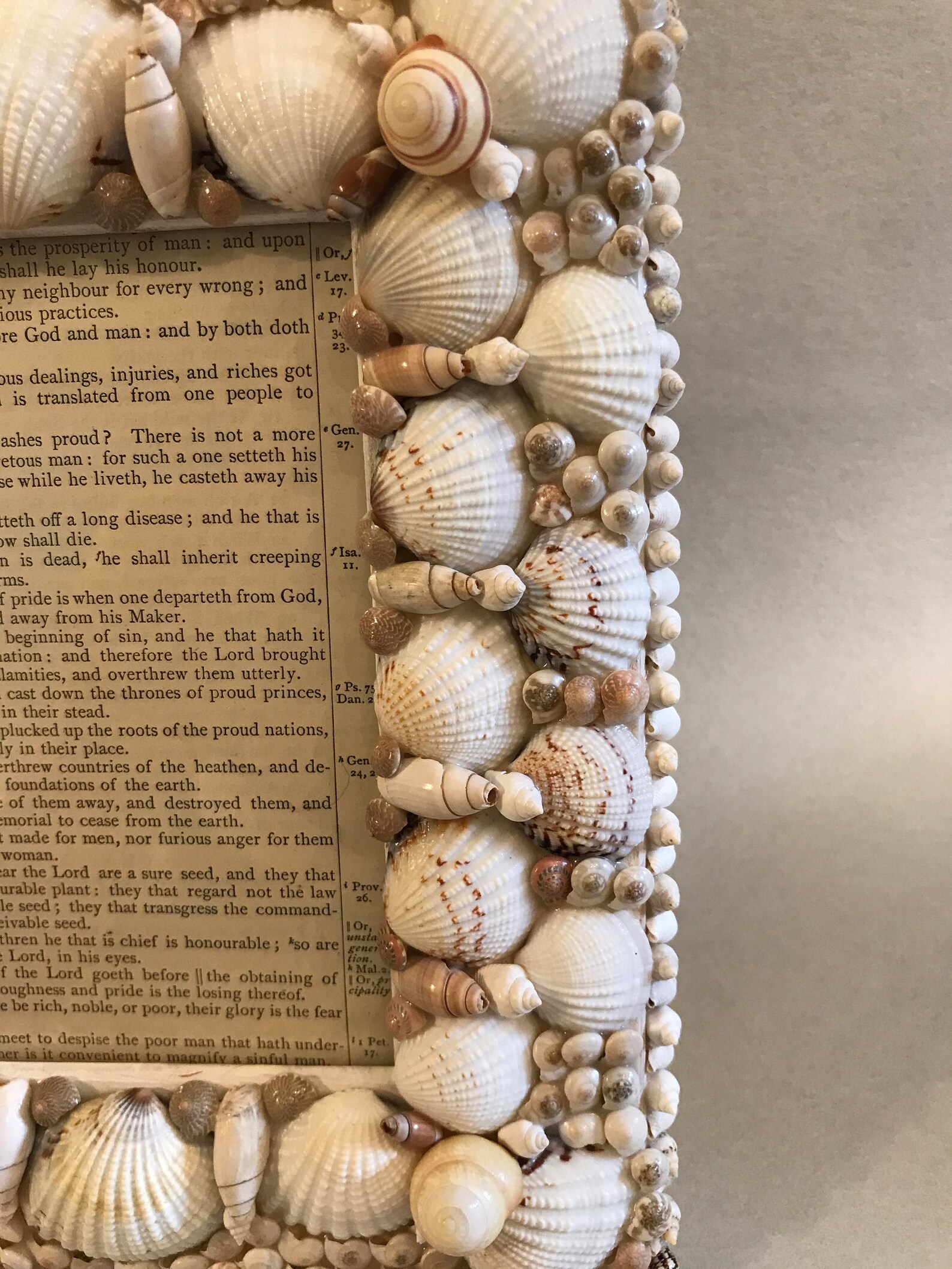 Handmade Shell Frame One of a Kind Seashell Frame Coastal | Etsy