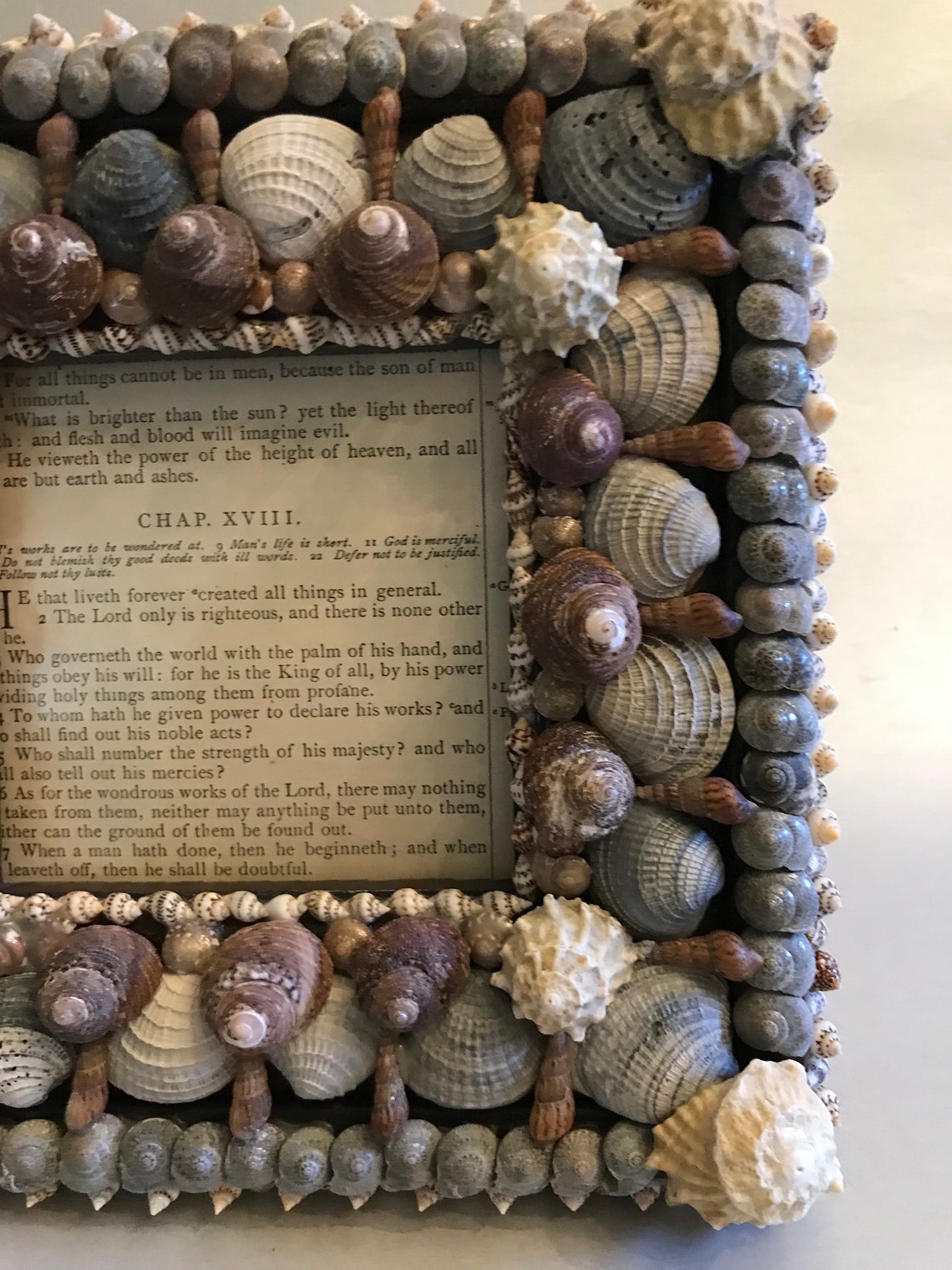 Handmade Shell Frame One of a Kind Seashell Frame - Etsy