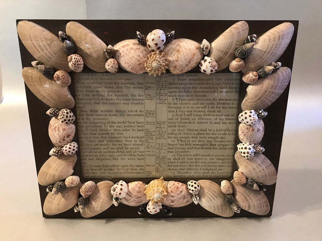 Handmade Shell Frame One of a Kind Seashell Frame Unique Art - Etsy