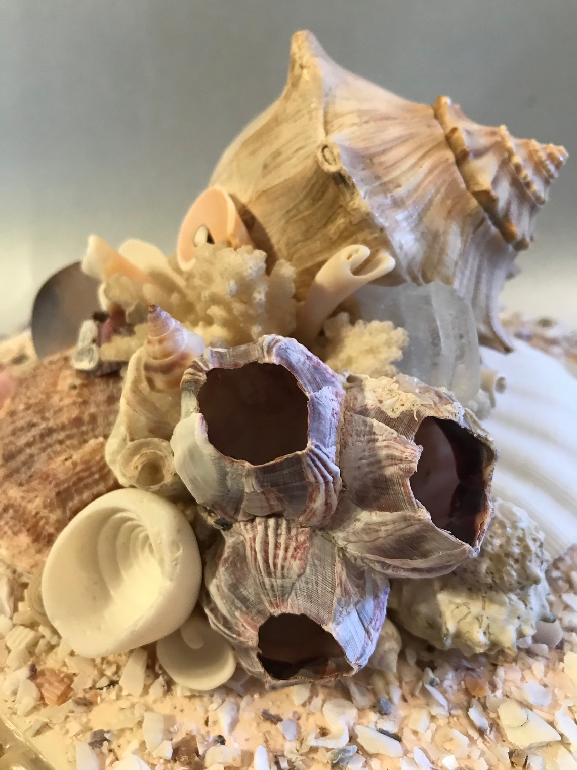 Handmade Seashell Box Encrusted Treasure Box Beach Decor | Etsy