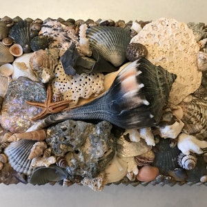 Handmade Shell Box, One of a Kind Seashell Box, Ornate Sea Shell Box - Etsy