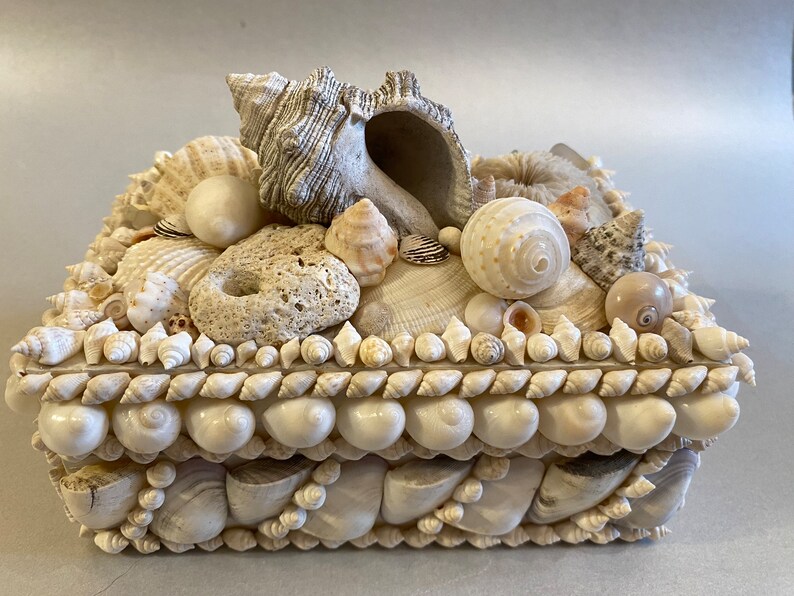 One of a Kind Shell Box, Ornate Seashell Box, Handmade Shell Treasure ...