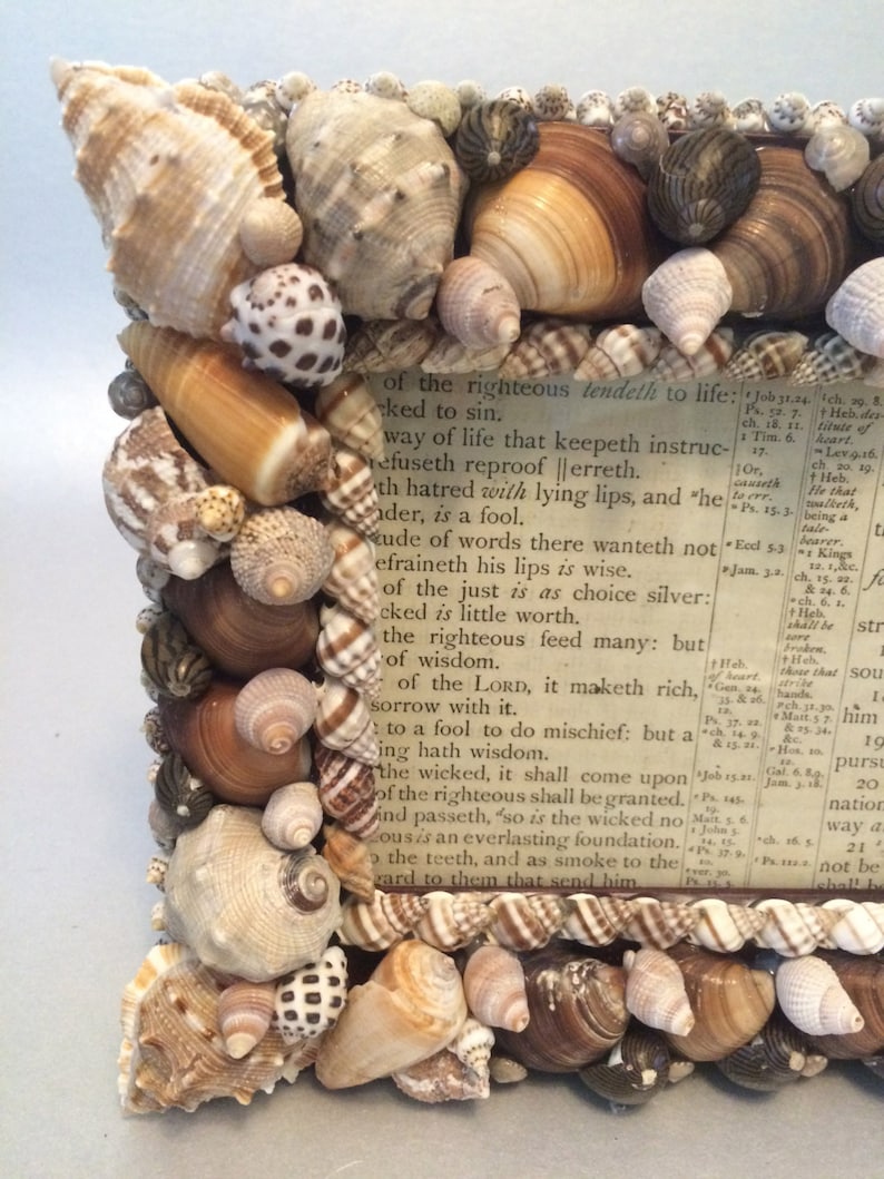 Handmade Seashell Picture Frame Shell Frame Beach Decor - Etsy