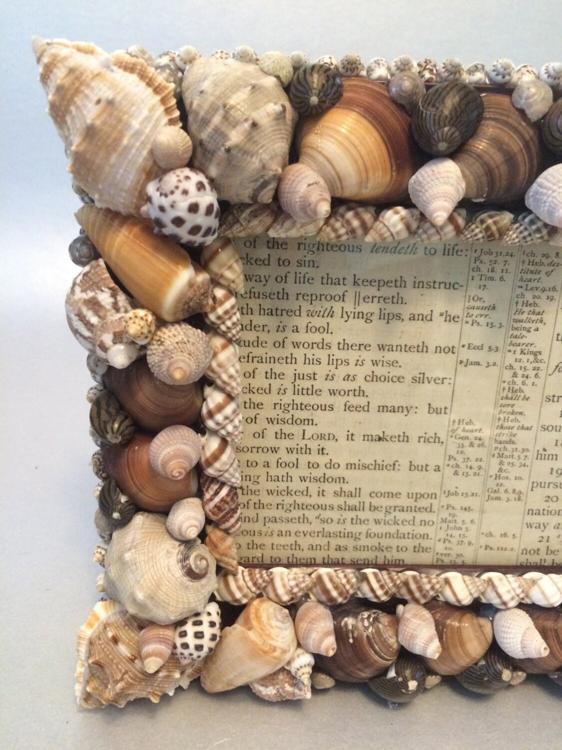 Handmade Seashell Picture Frame Shell Frame Beach Decor - Etsy