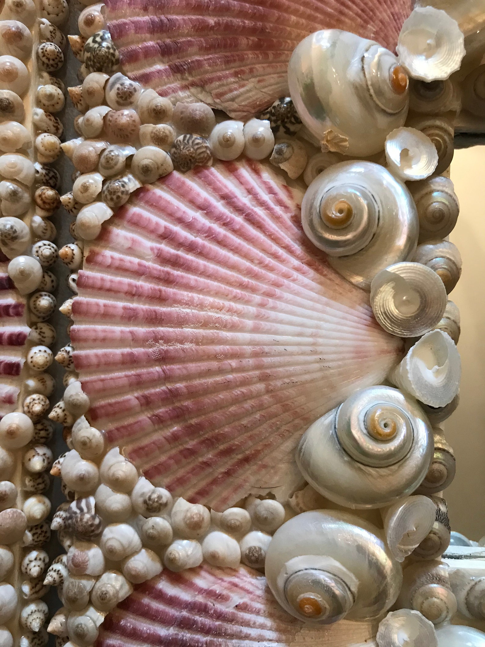 Handmade Shell Mirror Embellished Seashell Mirror Bydesignshellart - Etsy