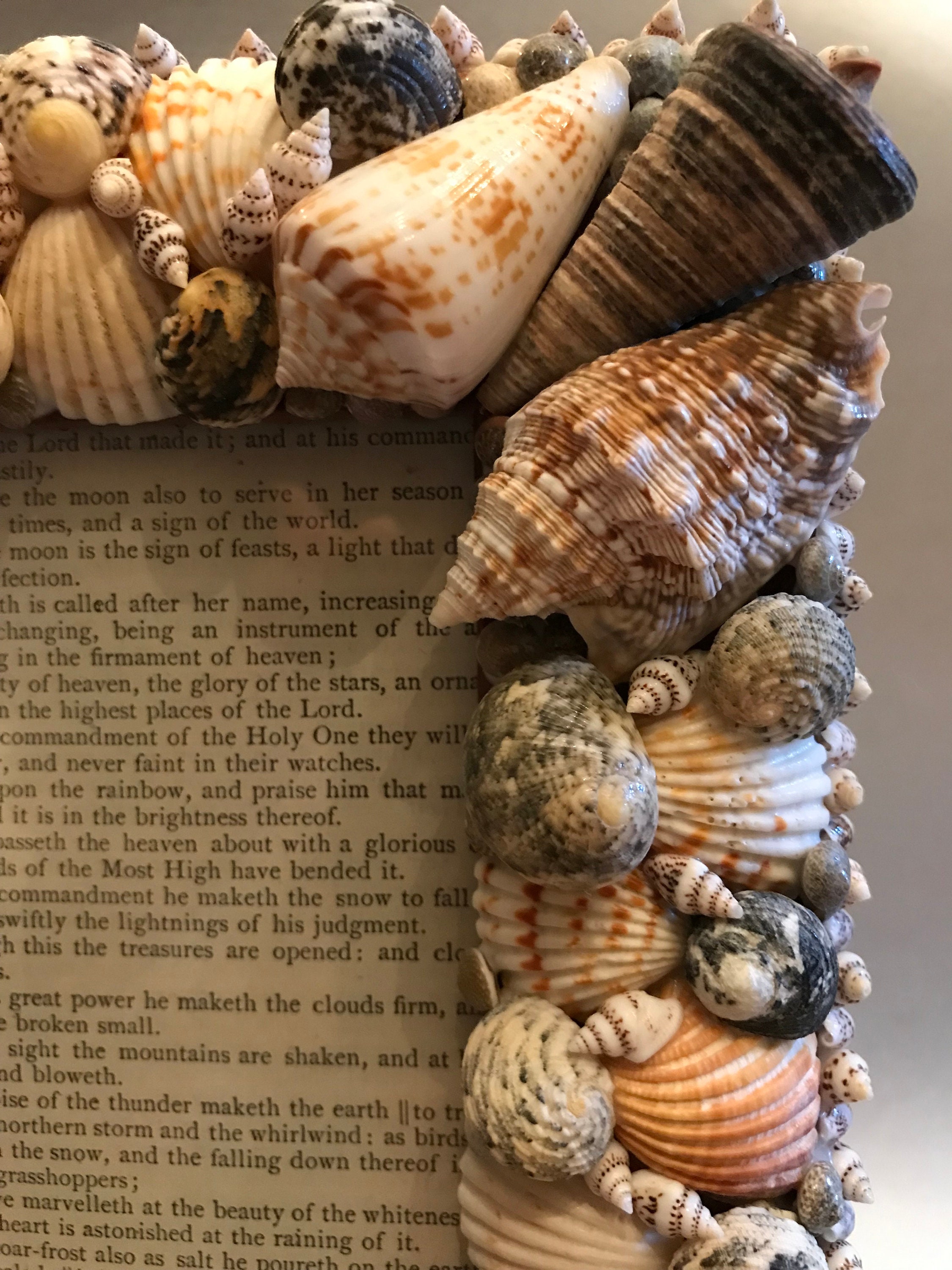 Handmade Shell Frame One of a Kind Seashell Frame Sea Shell - Etsy