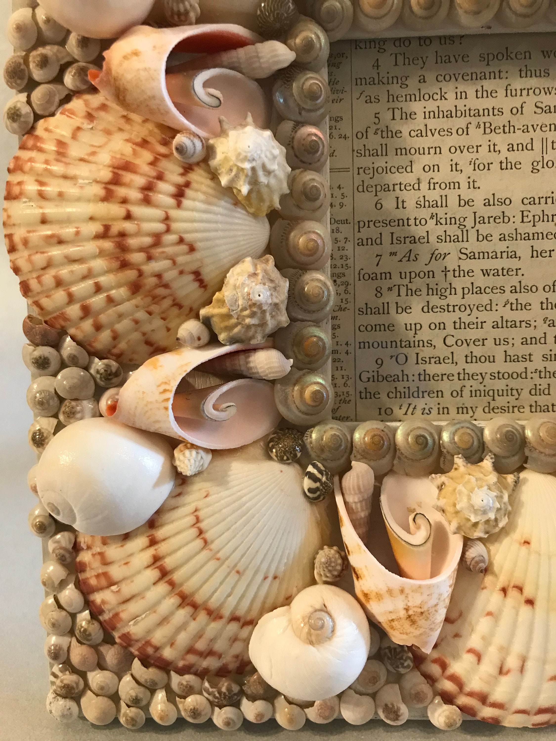 Handmade Shell Frame One of a Kind Seashell Frame | Etsy