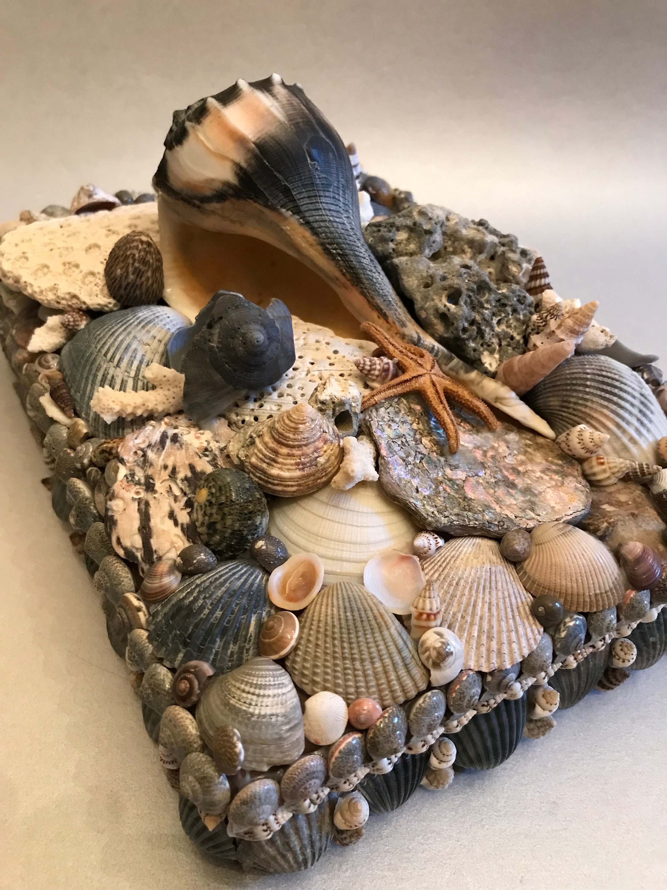 Handmade Shell Box, One of a Kind Seashell Box, Ornate Sea Shell Box - Etsy