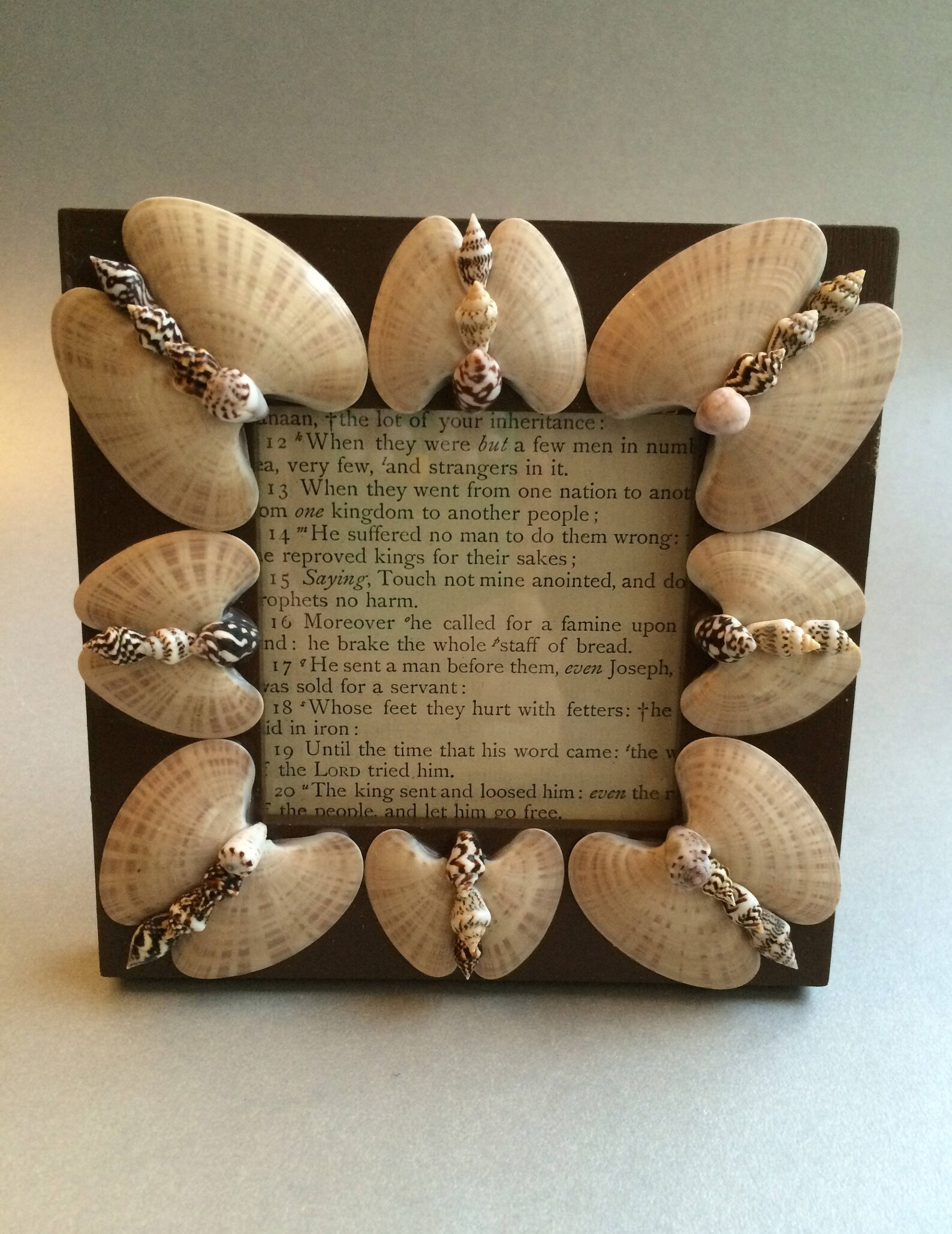 Handmade Seashell Picture Frame Shell Photo Frame Seashells - Etsy