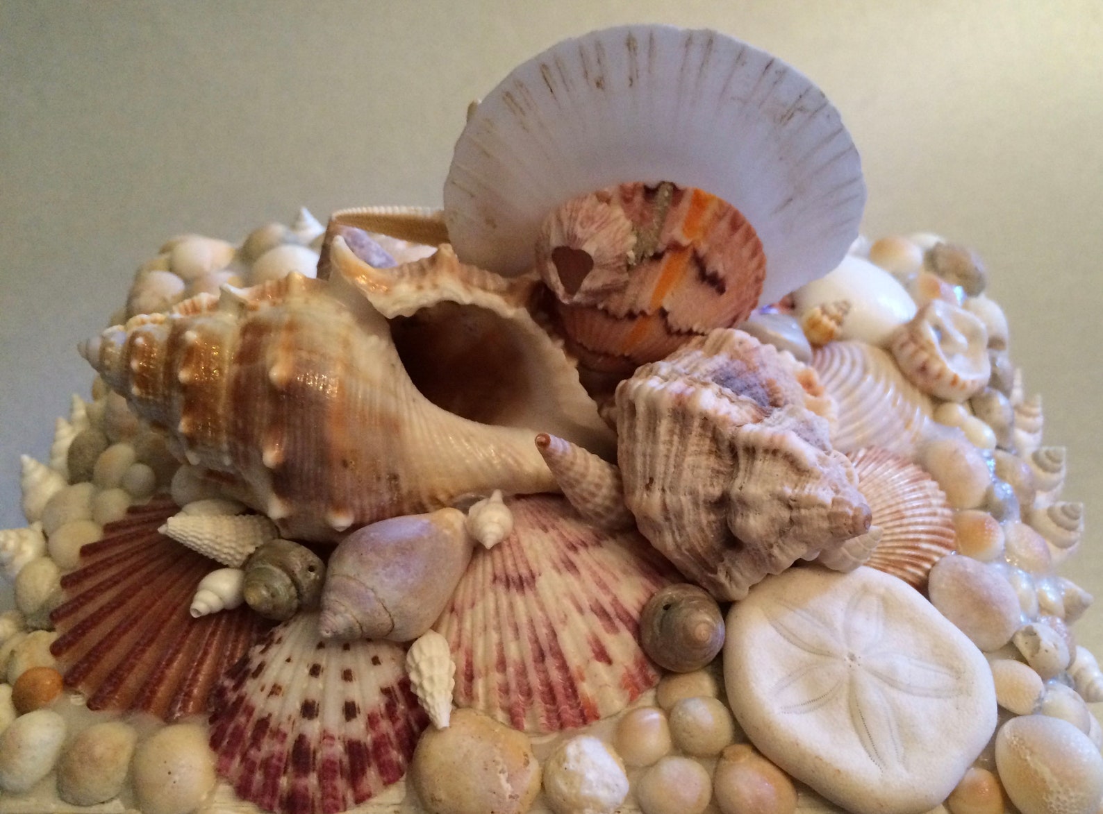 Handmade Seashell Box Shell Treasure Box | Etsy