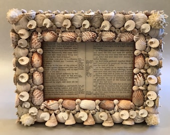 Handmade Shell Frame, One of a Kind Seashell Picture Frame, Pearlescent ...