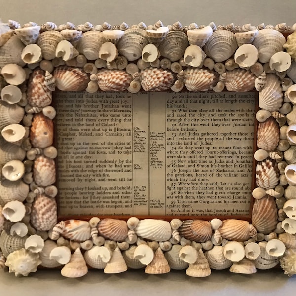 Sea Shell Photo - Etsy