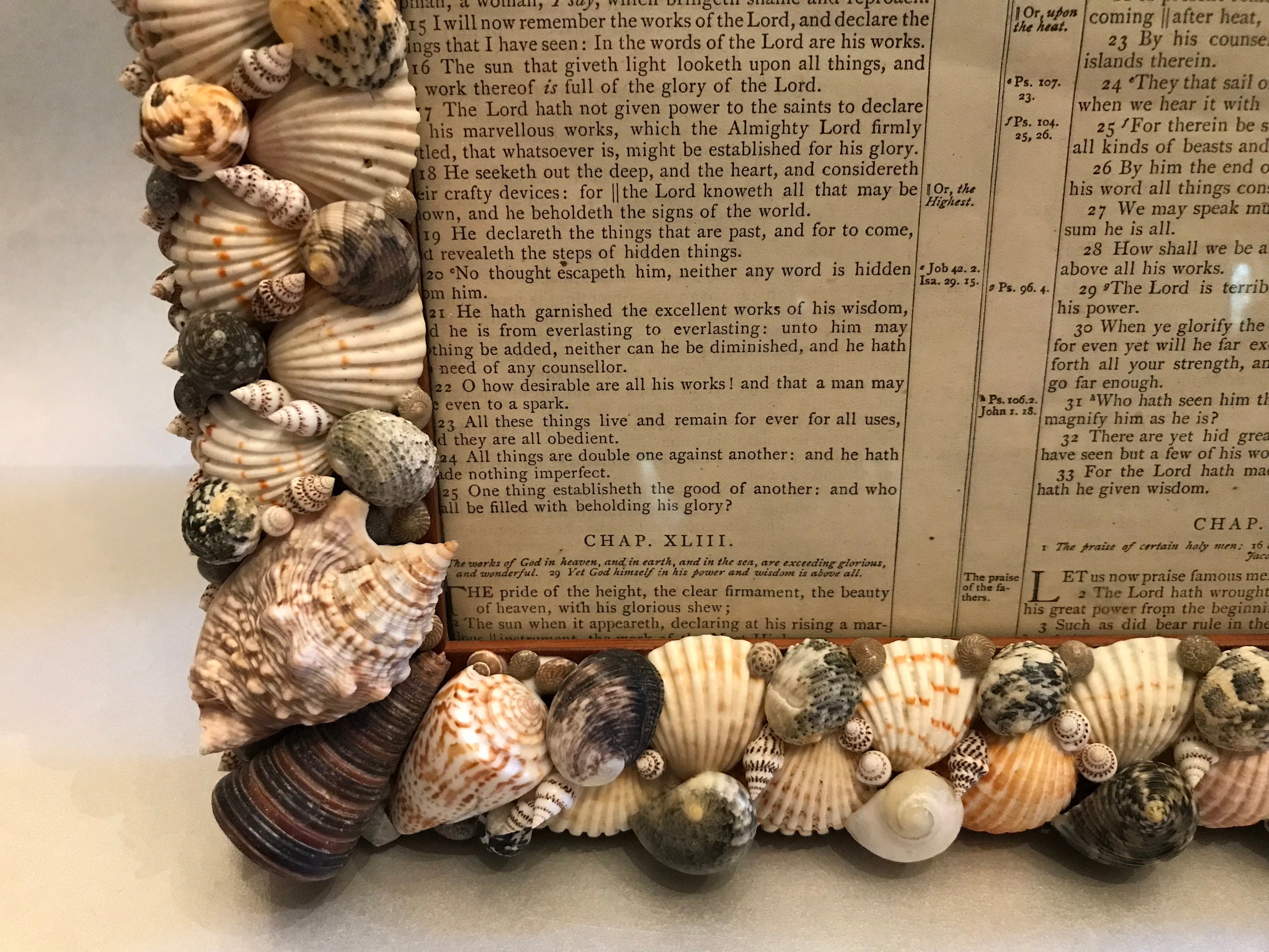 Handmade Shell Frame One of a Kind Seashell Frame Sea Shell - Etsy