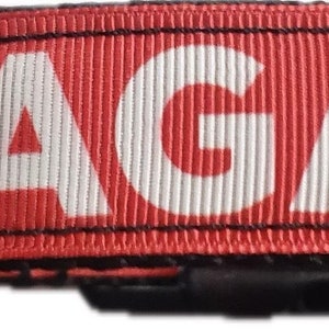 MAGA Dog Pet Collars - Etsy