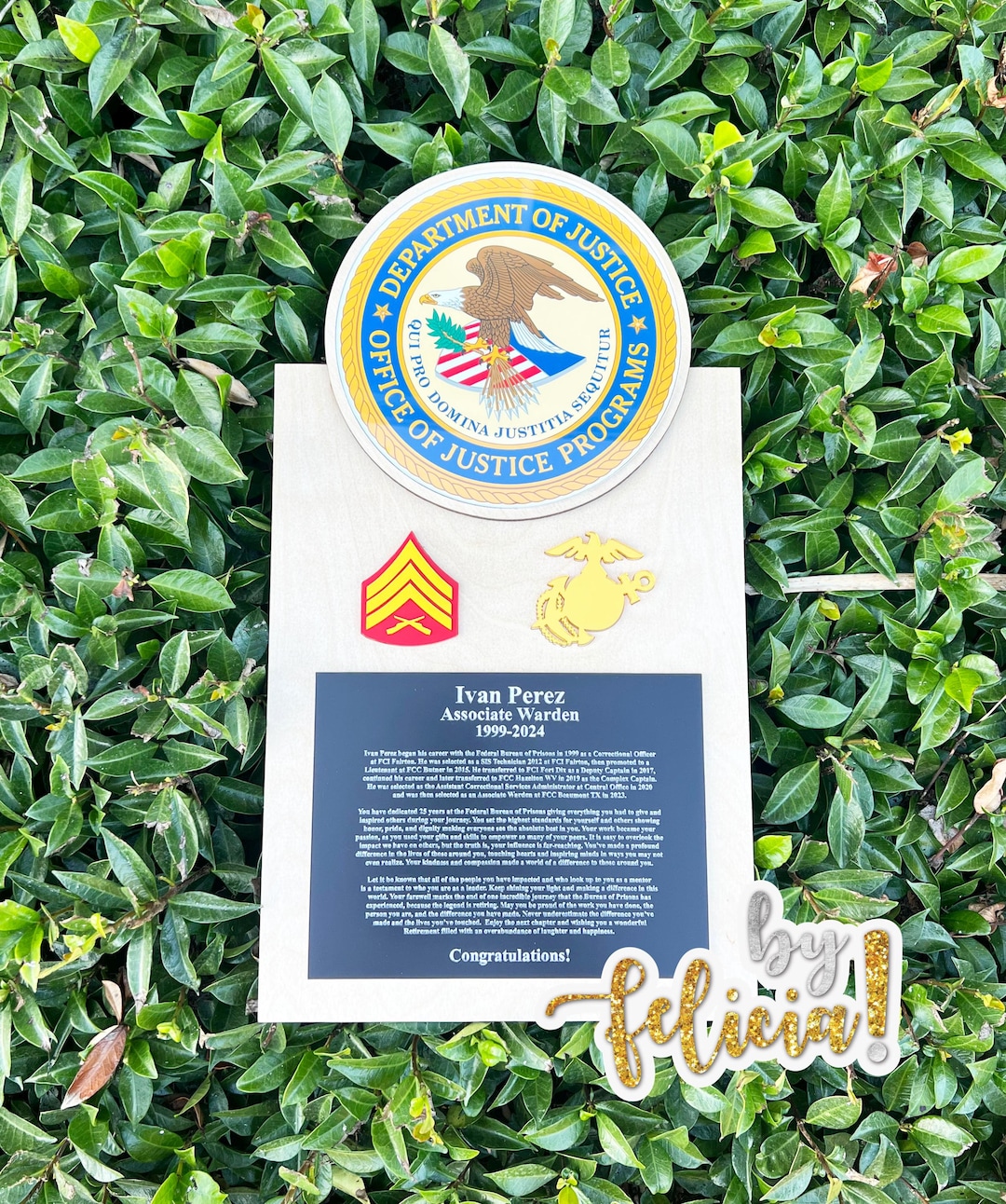 Marine Corps Plaques, Marine Corps Retirement Gift, Marine Corps Gift ...