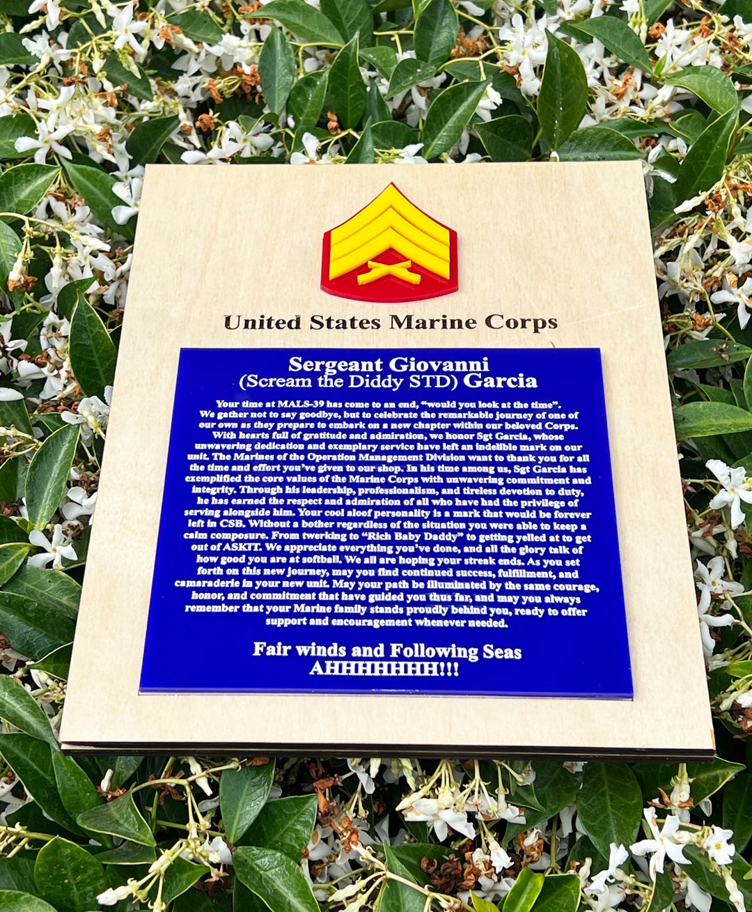 Marine Corps Plaque, Marine Corps Retirement Gift, Marine Corps Retired ...
