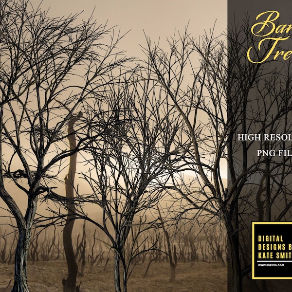 Bare Tree Photograph - Etsy