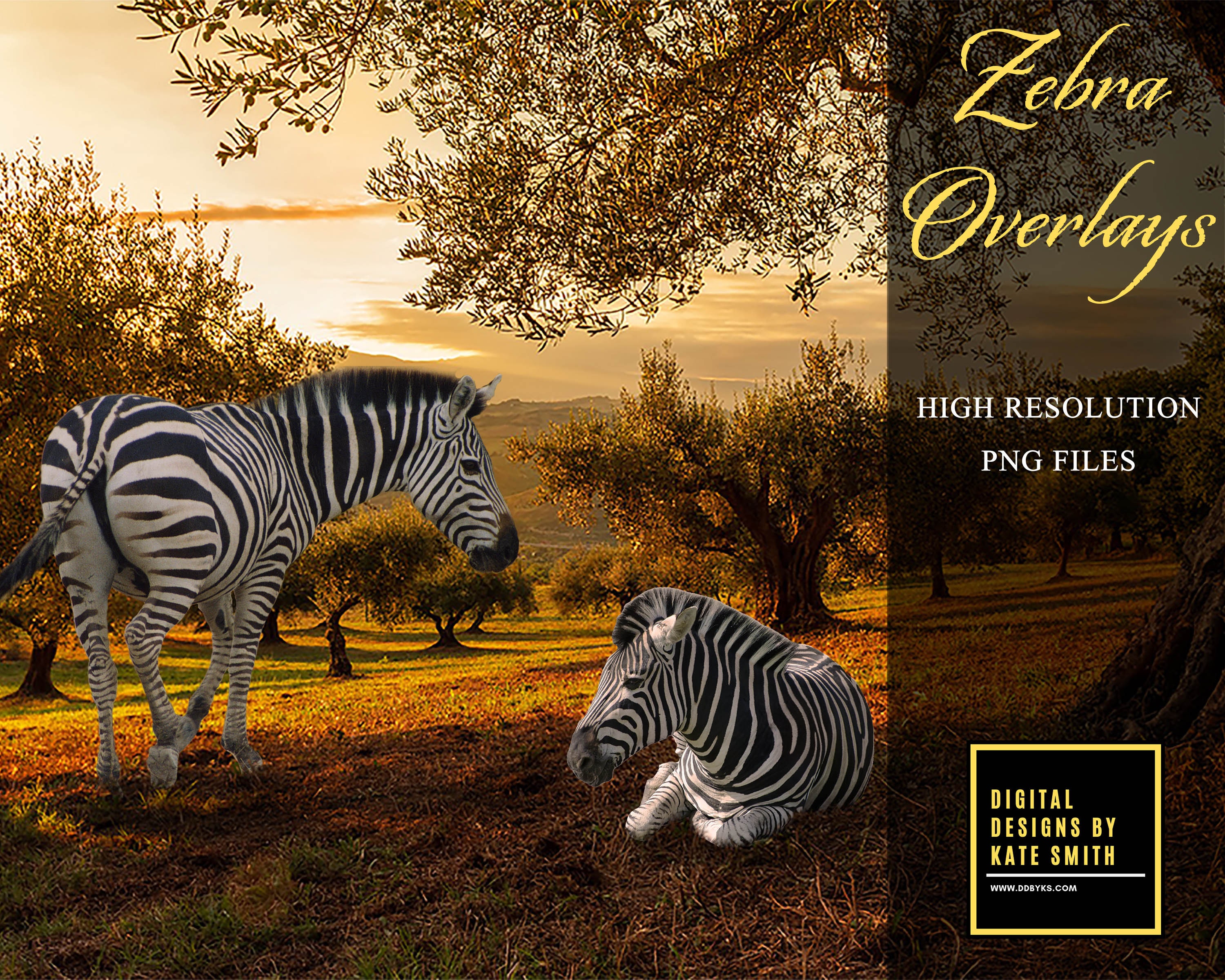 Craft Supplies & Tools Visual Arts Zebra Photoshop Actions Dancing ...