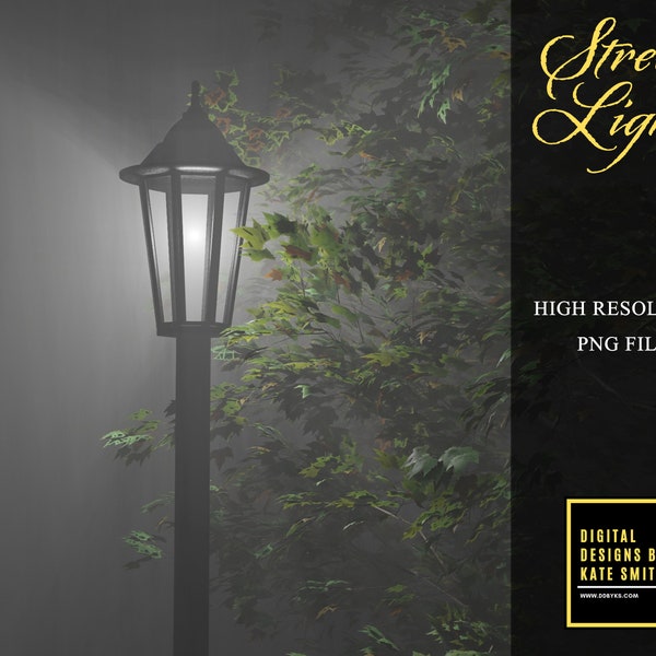 Street Light Overlay Photoshop - Etsy